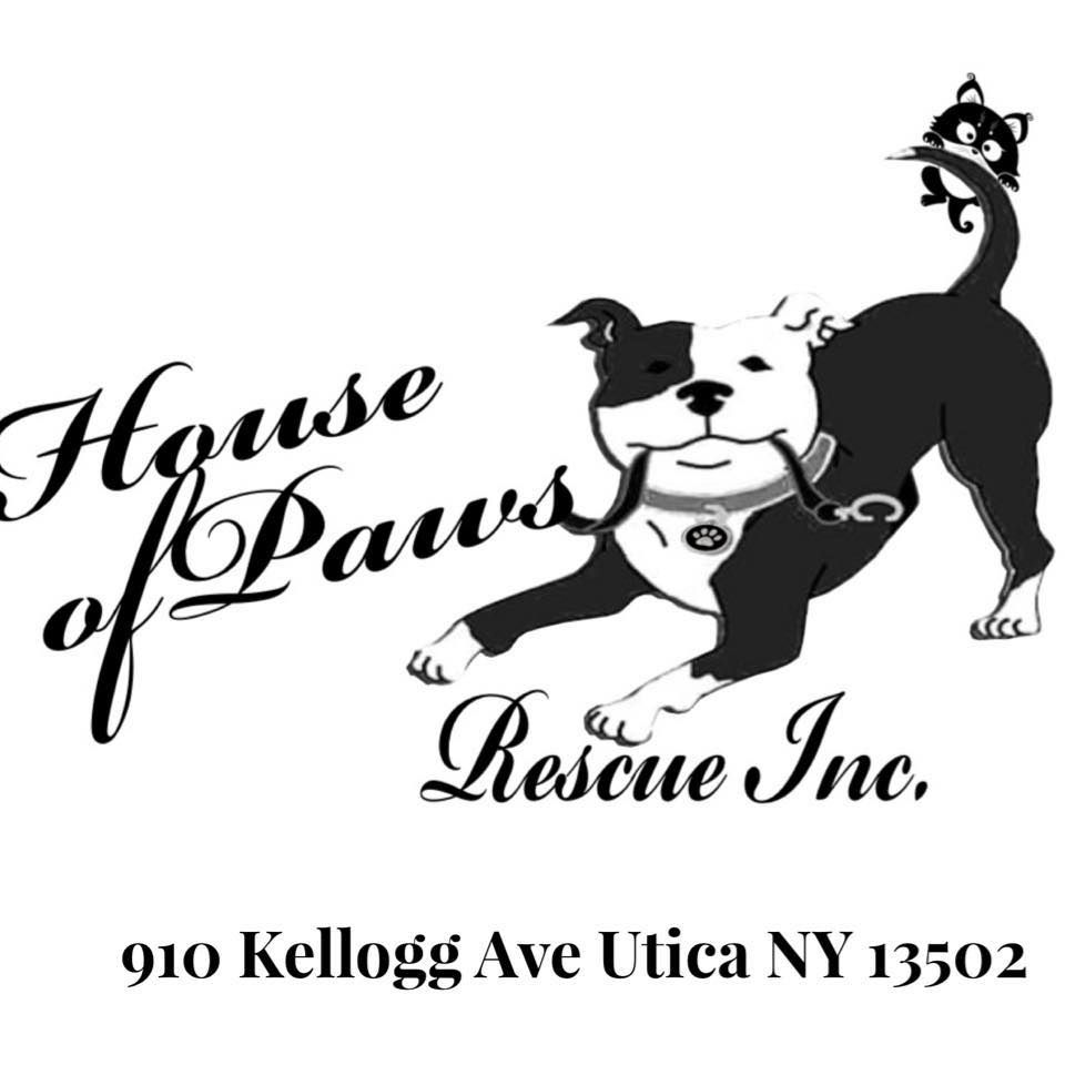 House of Paws, Inc. - CNY Tuesdays